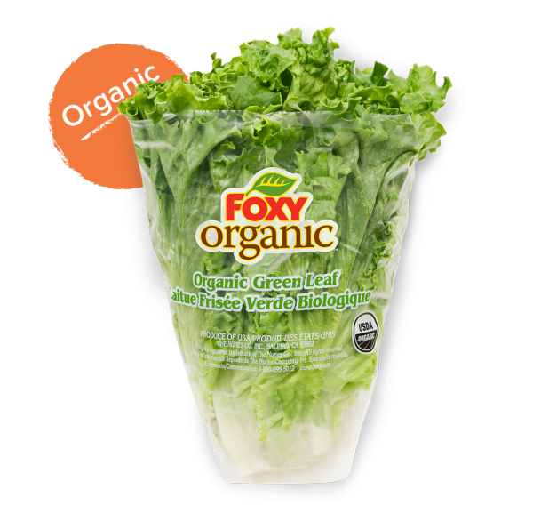 Green Kale - Foxy Fresh Produce